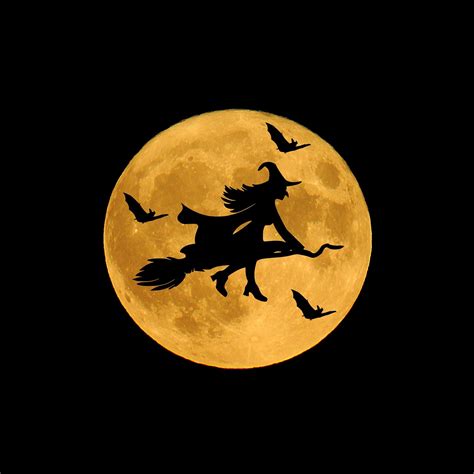 Witch Bats Full Moon Free Photo On Pixabay