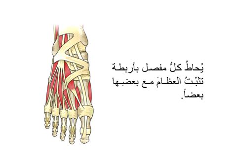 إصابات أصابع القدم واضطراباتها