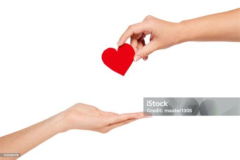 건강 관리 사랑 장기 기증 마음 챙김 복지 가족 보험 및 Csr 개념의 상징으로 붉은 마음을 가진 여성의 손 손에 대한 스톡