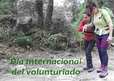 5 De Diciembre Día Internacional Del Voluntariado Apascide