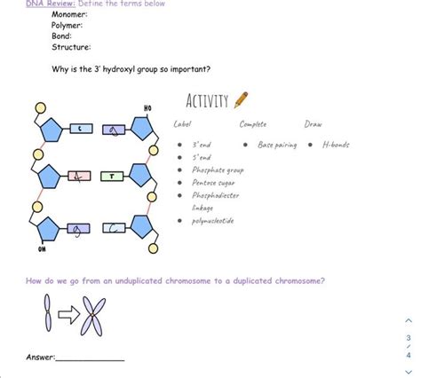Solved What Are These Dna Review Define The Terms Below