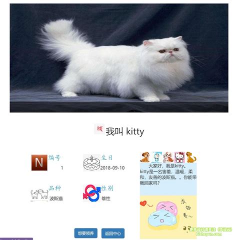 java毕业设计源码 基于ssm宠物领养管理系统 毕设网 计算机毕业设计源码 毕业设计成品 论文下载网