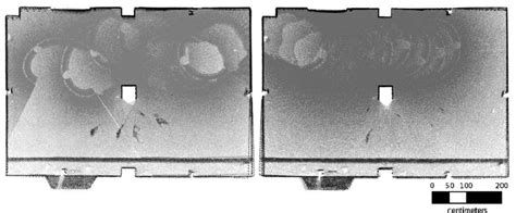 Top View Of Two Point Clouds Acquired By The Robot The Robot Was