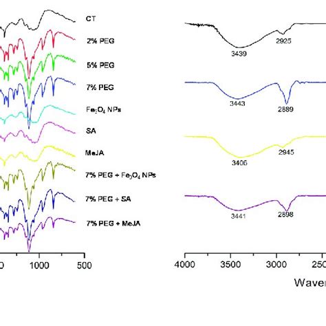 A Ftir Spectra 600 4000 Cm −1 Of Thymus Lotocephalus Shoots Download Scientific Diagram