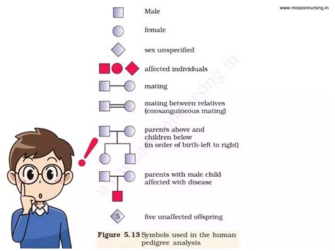 Mendelian Genetics Full Neet Notes Mission Nursing
