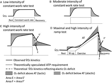 Schematic Diagram Of O2 Deficit And O2 Debt Of Ramp Tests And Constant Download Scientific