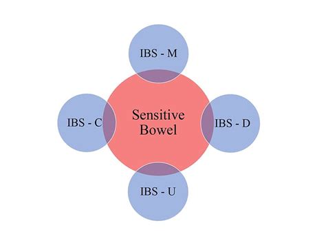 Johannah Ruddy Med On Linkedin The Effects Of Serotonin Receptor Type