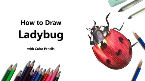 How To Draw A Ladybug With Color Pencils [time Lapse] Youtube