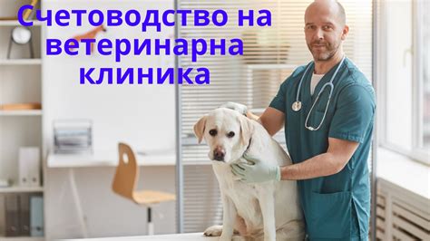 Счетоводство на ветеринарна клиника Счетоводни Услуги