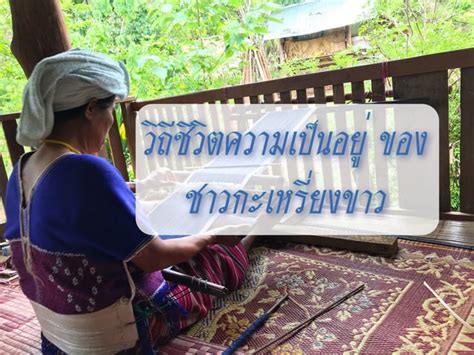 วิถีชีวิตความเป็นอยู่ ของ “ชาวกะเหรี่ยงขาวบนดอย”