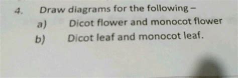 Draw Diagrams The Following Dicot Flower And Monocot Flower Dicot Leaf And Monocot Leaf