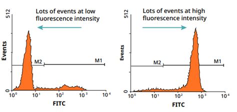 Data Analysis In Flow Cytometry Abcam