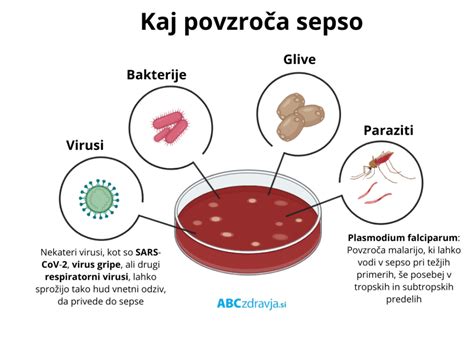 Sepsa Kako prepoznati simptome preprečiti okužbo in pravočasno