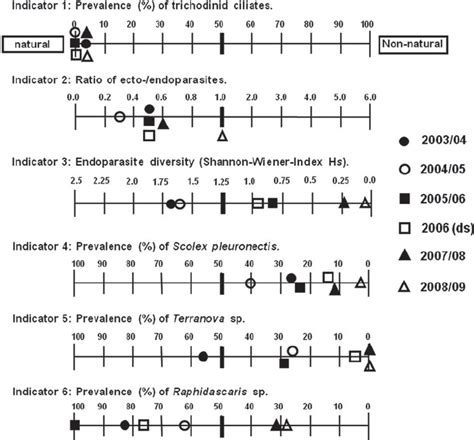 Indicator Transfer Onto A Positive Negative Axis The Markings Give The