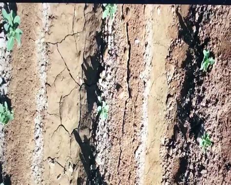 Class Issue For Customdata Set · Issue 2374 · Ultralyticsultralytics · Github