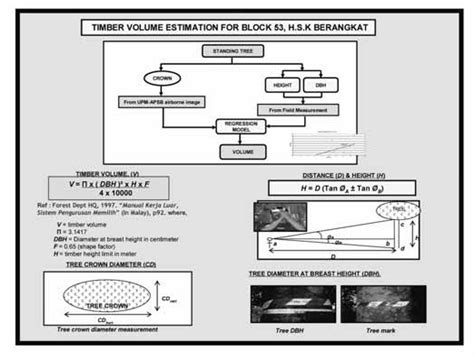 Figure 2 From Precision Forestry Using Airborne Hyperspectral Imaging Sensor Semantic Scholar