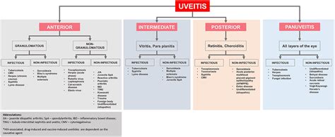 Frontiers Pediatric Uveitis Role Of The Pediatrician