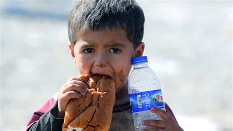 نشيد تركي مترجم للعربية ابكي أيها الولد الجميل Yeniçağ Ağla Sen Güzel Çocuk Youtube