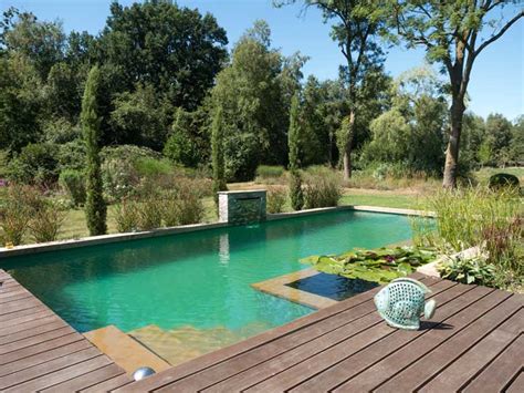 Schwimmteiche Und Naturpools Vom Fachbetrieb