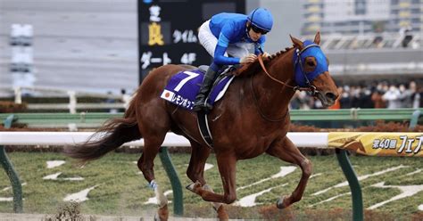 フェブラリーステークス（gⅠ） レース考察と期待の穴馬｜猫の競馬予想