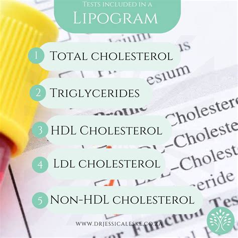 Dr 🩸 Understanding Lipogram Blood Tests What Do They Measure 🩸 A