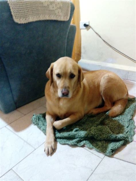 Norma Weimer Normaweimer Twitter