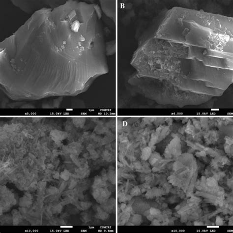 Scanning Electron Microscopic Images—control K Feldspar A K Feldspar Download Scientific