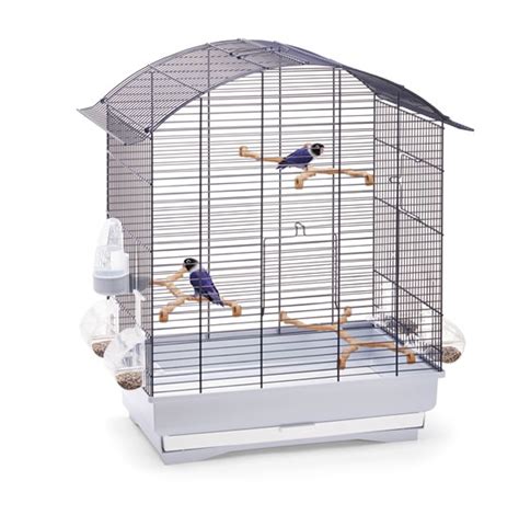 Parrot Essentials Parrot Shop Parrot Food Parrot Toys Parrot