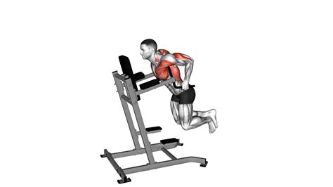 Triceps Dip Ultimate Guide And Tips Video Demo