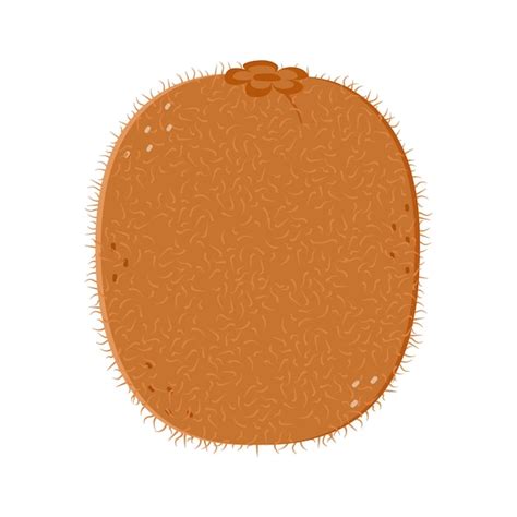 Premium Vector Kiwi Fruit Character
