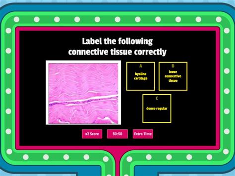 Epithelial And Connective Tissues Review Gameshow Quiz