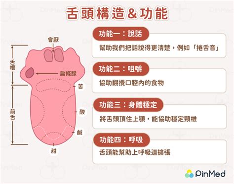 來自身體的警訊！舌頭破洞出現在不同位置怎麼辦？側邊、舌根超痛原因 Pinmed