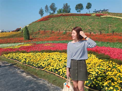 2019台中ig景點懶人包｜台中永遠去不膩！24個周末連假到台中最熱門的ig打卡景點拍照台中景點一日遊台中私房景點ig打卡熱點