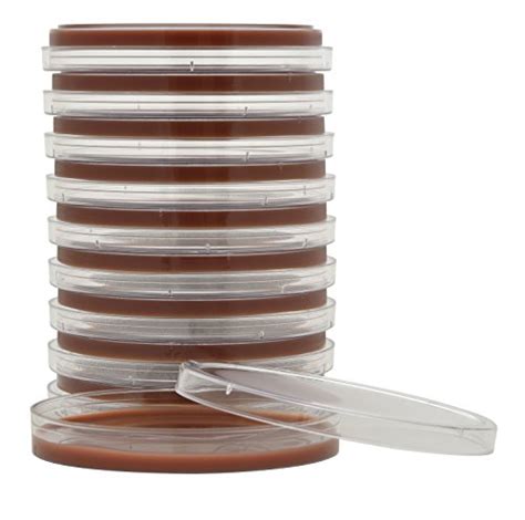 Buy Chocolate Agar Gc Agar Base With 1 Percent Bovine Hemoglobin And