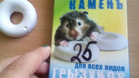 Минеральный камень для грызунов 👌🐹🐭😀 🌾🌰 - YouTube