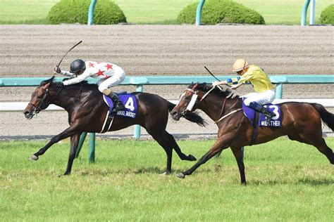東スポ競馬 On Twitter 【2018年 宝塚記念 】和田竜二「17年ぶり」のgⅠ制覇ミッキーロケット ガリガリだった香港馬ワーザ