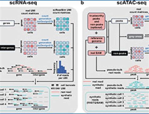 An RNA Seq QC Overview RNA Seq Blog