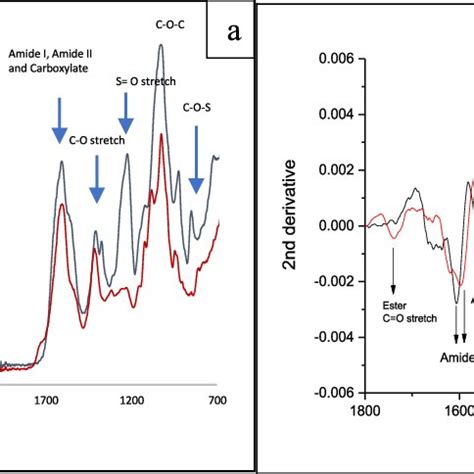 A FTIR Spectra Of CS And PCS N 3 Spectra Normalized Against C H Download Scientific