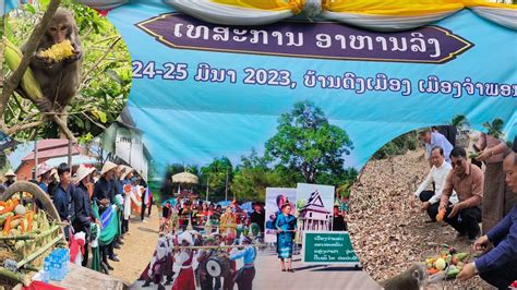 งานเทศกาลอาหารลิง ງານເທສະການອາຫານລີງ ບ້ານດົງເມືອງ ເມືອງຈຳພອນ ແຂວງສະຫວັນນະເຂດ ສປປລາວ Youtube