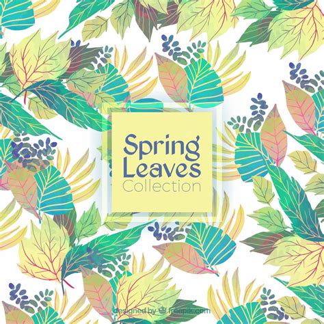 손으로 그린 나뭇잎 종류 세트 무료 벡터