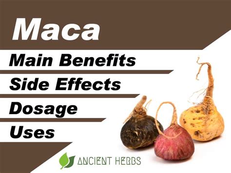 Maca Candy Tablets Side Effects At Rose Longstaff Blog