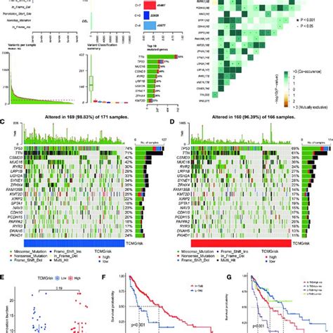 Characteristics Of Somatic Mutations A The Overall Mutation Profile