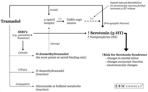 Tramadol Depression Examining The Use Of Tramadol Hydrochloride As An