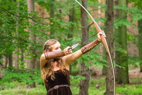 What Are The Four Different Types Of Bows BowAddicted