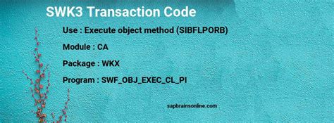 SWK SAP Tcode For Execute Object Method SIBFLPORB