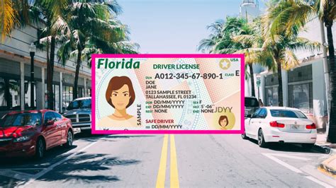 Florida Drivers License Overhaul—what You Need To Know Yummy Hits Miami
