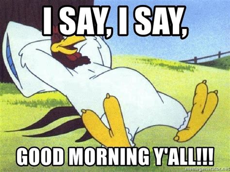 150 Todays Most Funny Memes 285 Funnyfoto Funny Good Morning