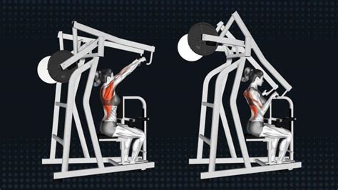 9 Best High Row Machine Alternatives Fitness Volt