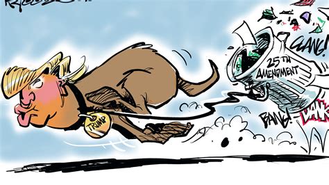 Amendment 25 Cartoons