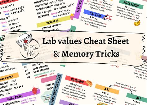 Lab Values Nursing Study Guide For Nursing Babe And NCLEX Etsy